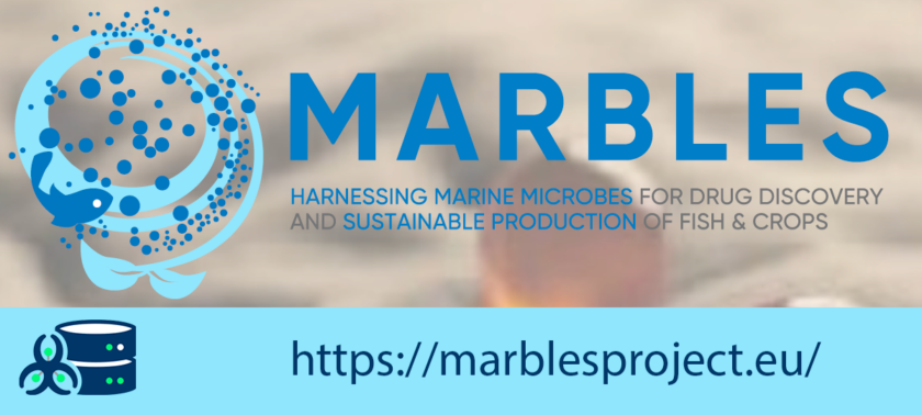 Marbles Project - Naicons